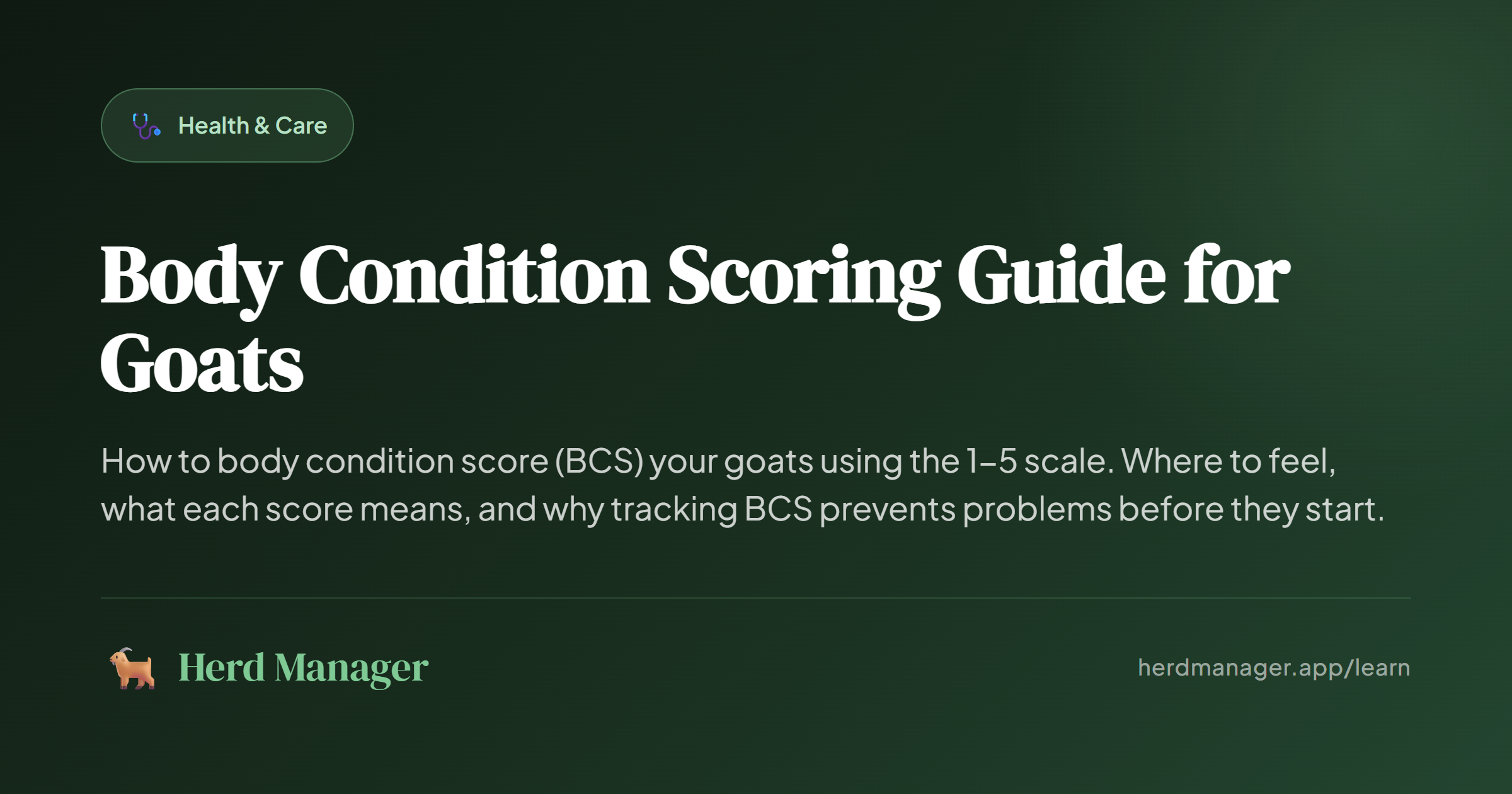 Body Condition Scoring Guide for Goats — Herd Manager