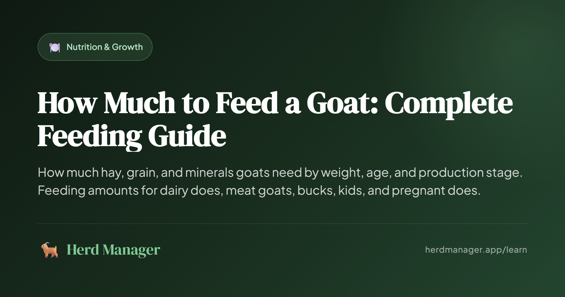 How Much to Feed a Goat: Complete Feeding Guide — Herd Manager